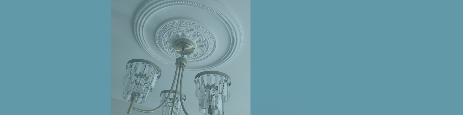 Secondary Bedroom: Plaster Coving & Ceiling Roses