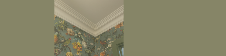 New Build Downstairs WC: Plaster Coving Details