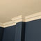 Plaster Coving Ogee 100mm MPC081 | Plaster Ceiling Roses