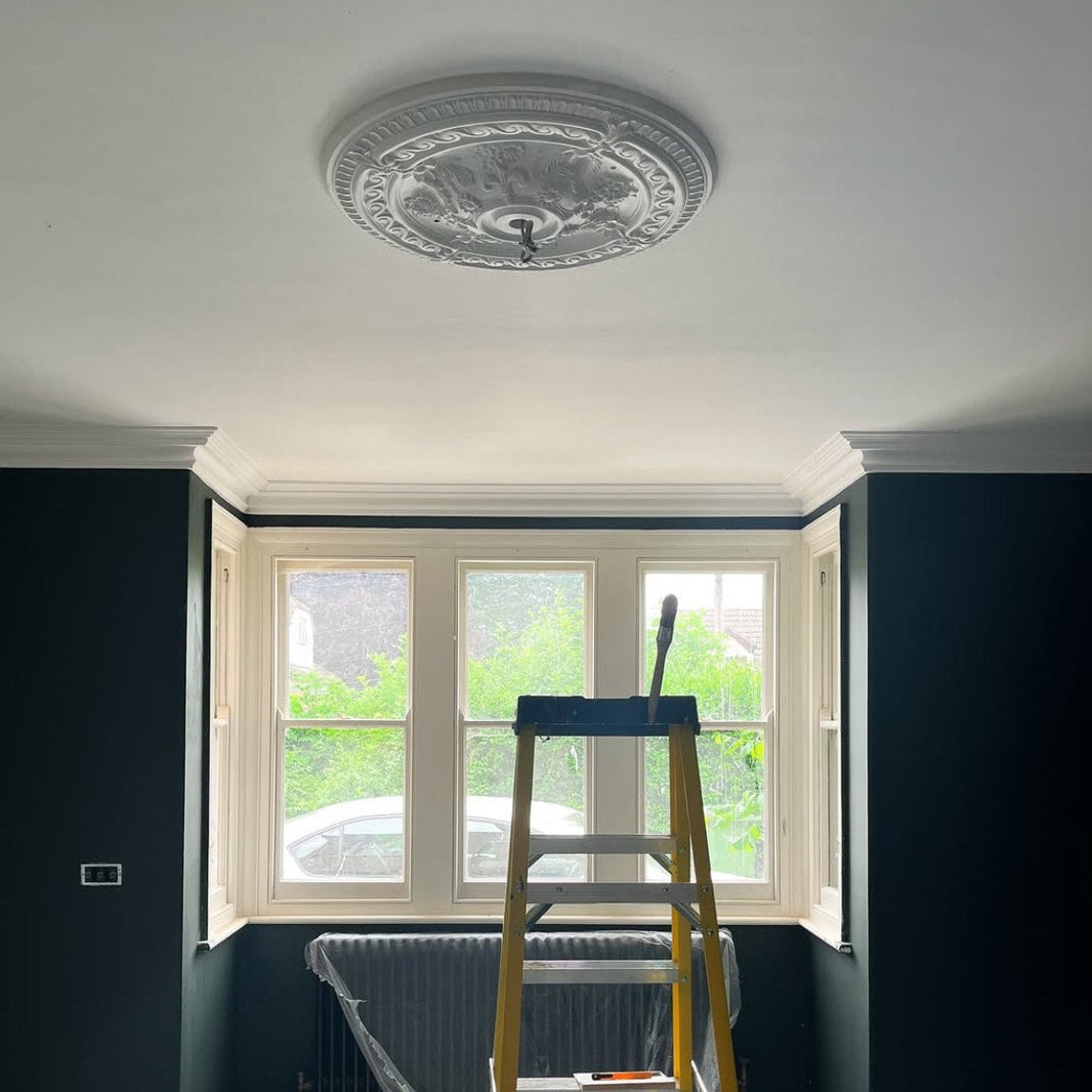 Plaster Coving & Ceiling Roses Delivered to Torquay