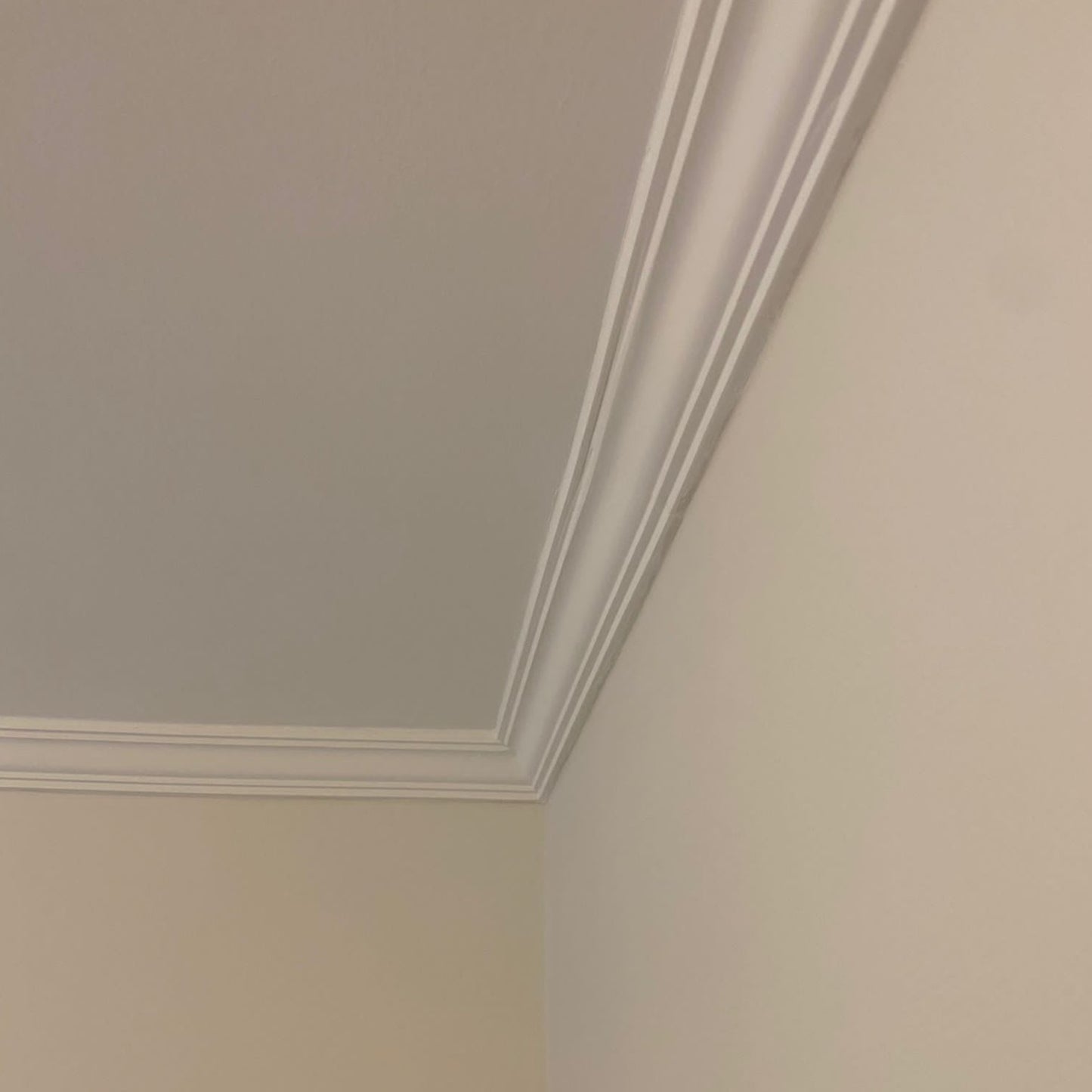Small Ogee Plaster Coving 50mm SPC006 | Plaster Ceiling Roses