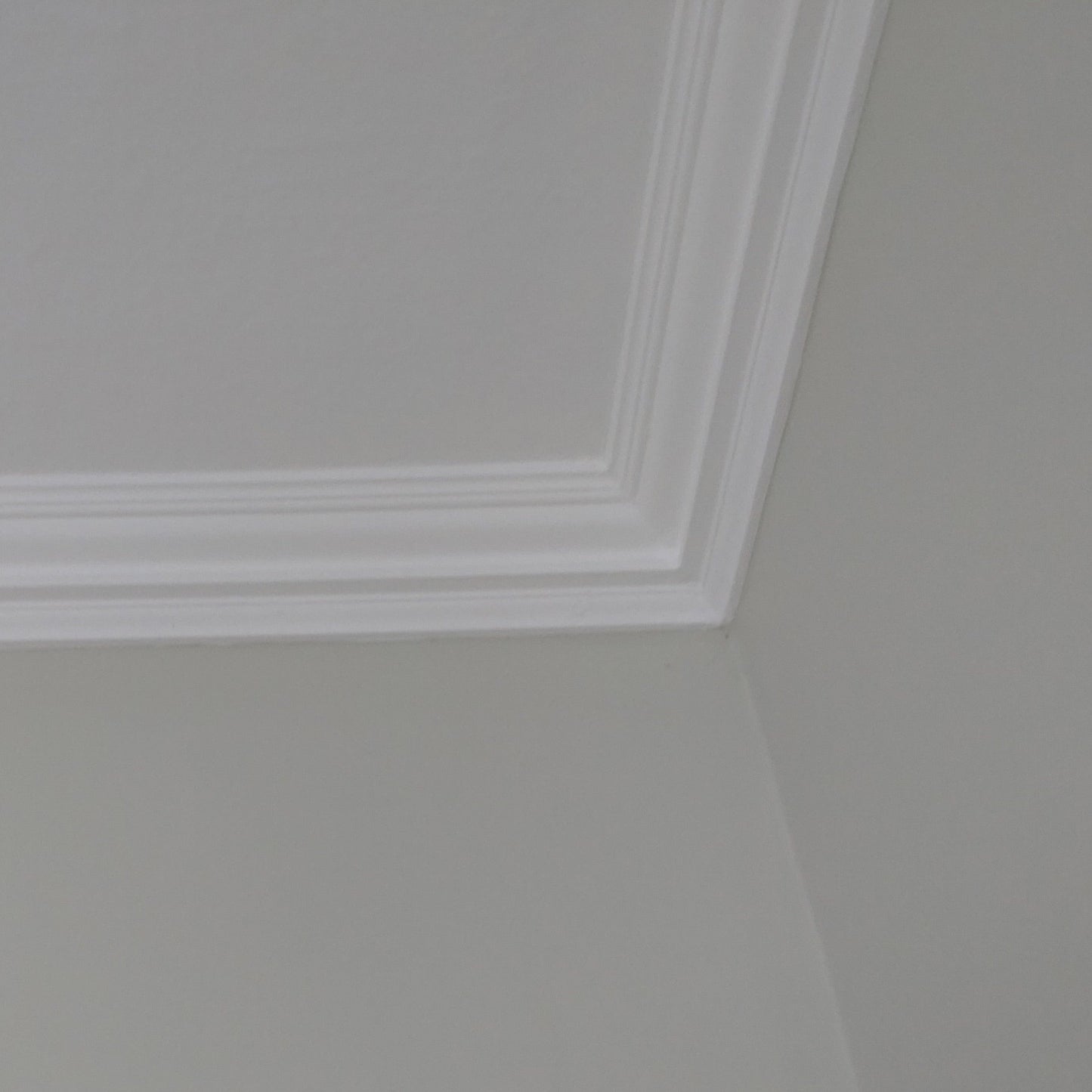 Small Regency Plaster Coving 100mm | Plaster Ceiling Roses