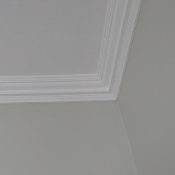 Small Regency Plaster Coving 100mm | Plaster Ceiling Roses